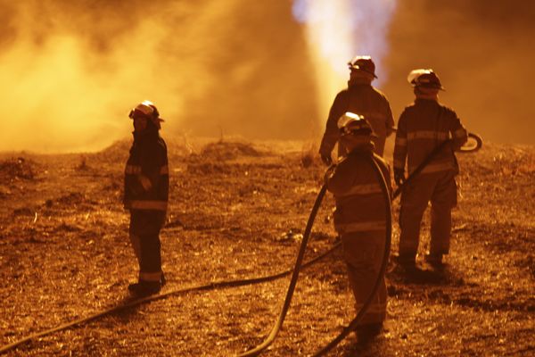 SAFETY BOSS - Updated December 2025 - Request a Quote - 11 Photos ...