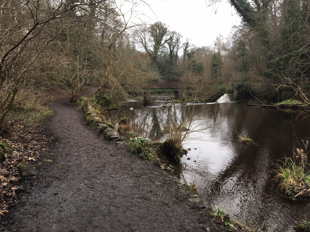 COLINTON DELL - Updated February 2025 - 23 Photos - Spylaw Street ...