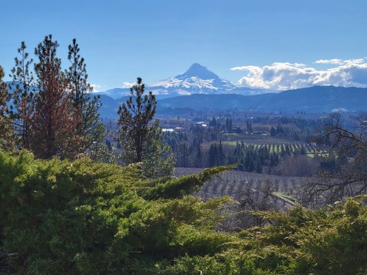 PANORAMA POINT - Updated October 2025 - 75 Photos & 13 Reviews - 1212 ...