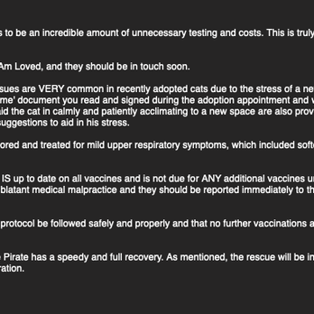 TOE BEANS CAT CAFE - Updated October 2025 - 46 Photos - 119 Peter ...