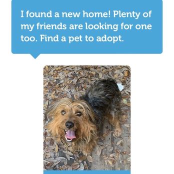 LOW COUNTRY ANIMAL RESCUE - Updated January 2026 - 14 Photos & 35 ...