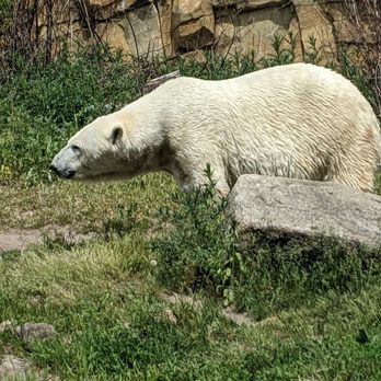 HENRY VILAS PARK ZOO - Updated September 2025 - 476 Photos & 251 ...