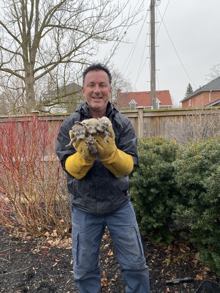 XTERMALL PEST & WILDLIFE CONTROL - Updated September 2024 - Request a ...