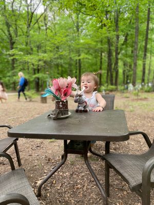 AZALEA PATH ARBORETUM AND BONTANICAL GARDEN - Updated January 2025 - 11 ...