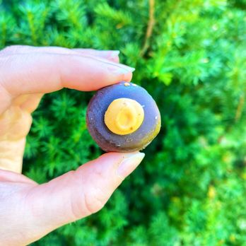 BAKER’S CANDIES - Updated September 2025 - 79 Photos & 34 Reviews - 831 ...