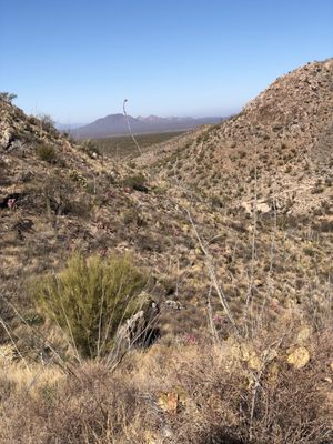 CABALLO LOCO RANCH - Updated October 2024 - 34 Photos - 14475 West ...