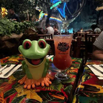 RAINFOREST CAFE - Updated August 2024 - 740 Photos & 532 Reviews - 2201 ...