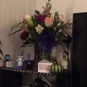 COLD STREAM FARM - 13 Photos - 8585 N Stephens Rd, Free Soil, Michigan ...