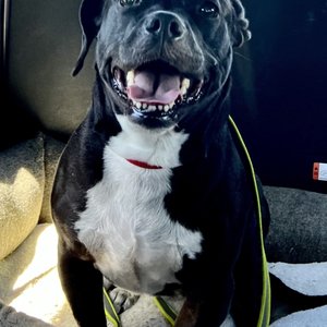 FRIENDS FOR LIFE ANIMAL RESCUE - Updated June 2025 - 41 Photos & 55 ...