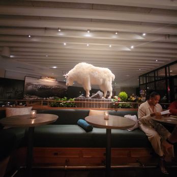 AVIZE MODERN ALPINE - Updated June 2025 - 135 Photos & 34 Reviews - 956 ...