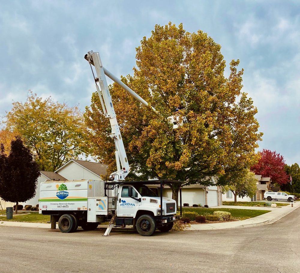 MERIDIAN TREE SERVICE - Updated December 2025 - 10 Photos & 29 Reviews ...