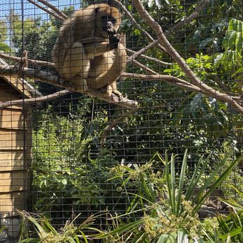 SANTA ANA ZOO - Updated August 2024 - 1399 Photos & 698 Reviews - 1801 ...