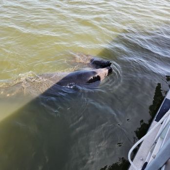 TURTLE MOUND RIVER TOURS - Updated December 2025 - 99 Photos & 62 ...