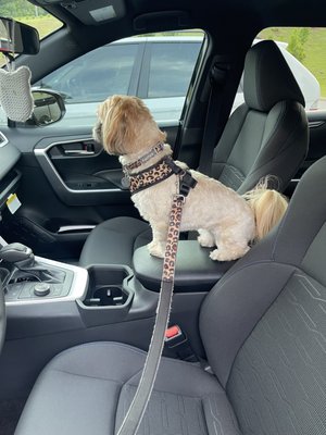 MARK MCLARTY TOYOTA - Updated August 2025 - 33 Reviews - 4336 Landers ...