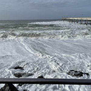 ESPLANADE BEACH - Updated May 2025 - 182 Photos & 59 Reviews - Esplanade Ave And W Beaumont Blvd ...