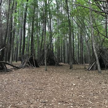 WAIHOU SPRING TRAIL - Updated December 2025 - 70 Photos & 22 Reviews ...