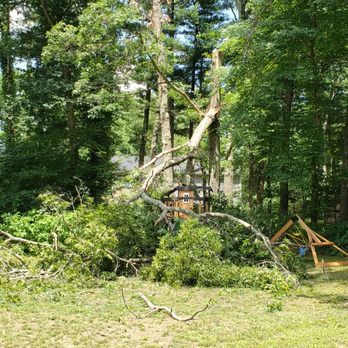 CJ TREE SERVICE - Updated October 2025 - 22 Photos & 24 Reviews - 100 ...