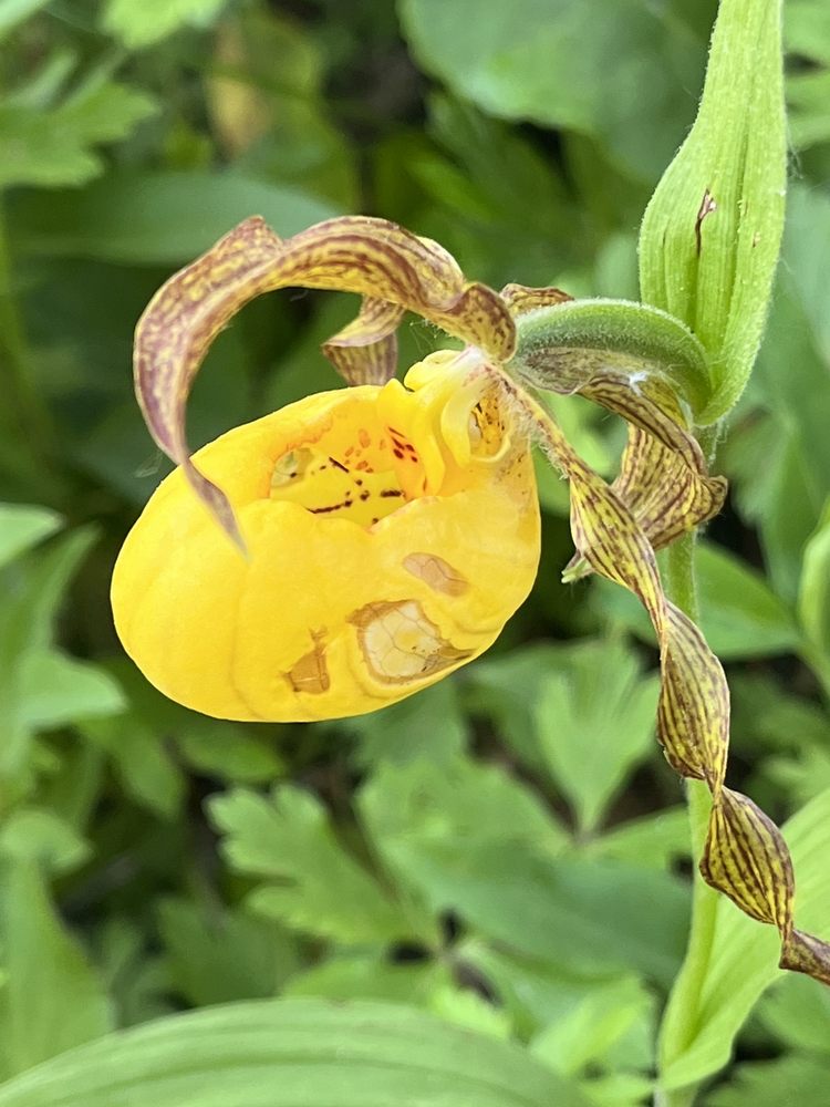 READER ROCK GARDEN - Updated December 2025 - 38 Photos - 325 25 Avenue ...