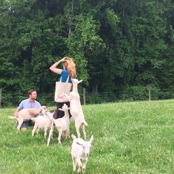 CAROMONT FARM - Updated January 2026 - 86 Photos - 9261 Old Green Mountain Rd, Esmont, Virginia ...