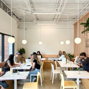 MIKATA - Updated July 2025 - 222 Photos & 81 Reviews - 237 Perimeter Center Pkwy NE, Dunwoody ...