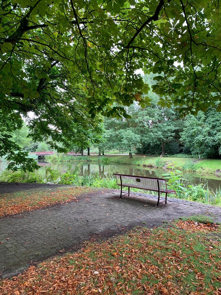 BEATRIXPARK PEUTERBAD - Updated March 2024 - Beatrixpark, Amsterdam ...