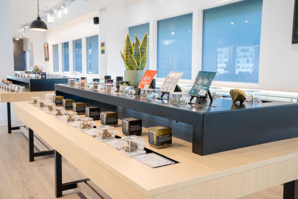 THE ARTIST TREE - LAGUNA WOODS - Updated December 2025 - 28 Photos ...