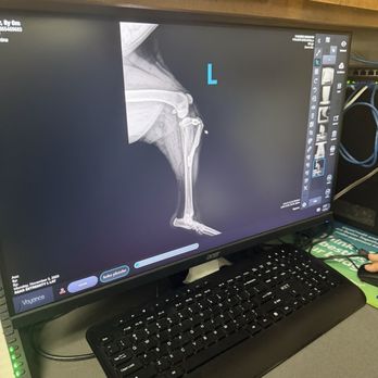 COLIMA ANIMAL HOSPITAL - Updated March 2026 - 276 Photos & 767 Reviews ...