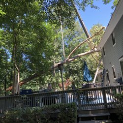 STANLEY TREE SERVICE - 33 Reviews - Tree Services - 275 George ...