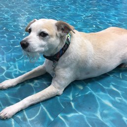 Pinch A Penny Pool Patio Spa Reviews | Read Customer Service Reviews of ...