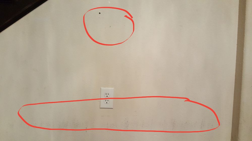 MERITAGE HOMES - Updated December 2025 - 20 Reviews - 909 Hidden Ridge ...