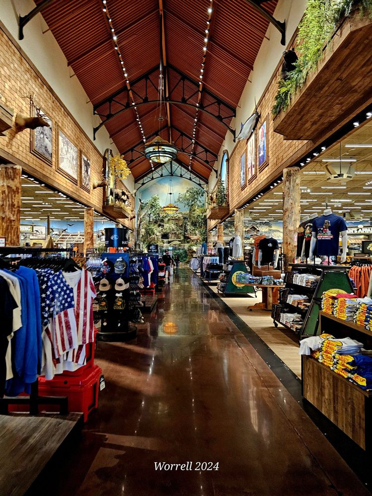 BASS PRO SHOPS - Updated December 2025 - 523 Photos & 252 Reviews - 71 ...