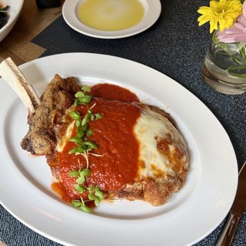 SAFINA - Updated October 2024 - 65 Photos & 36 Reviews - 785 N ...