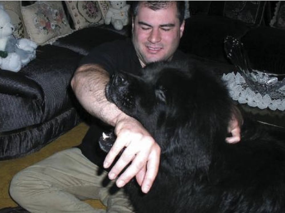 ALEX HIMEL CERTIFIED DOG TRAINER - Updated September 2024 - 17 Vista ...