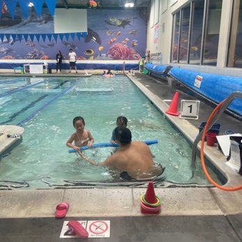 AMERICAN SWIM ACADEMY - Updated May 2024 - 58 Photos & 283 Reviews ...