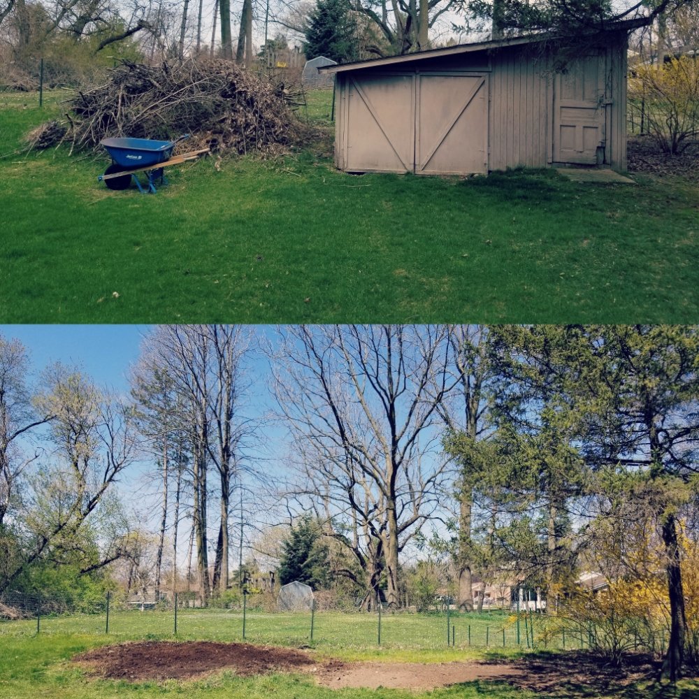 TOSS & GO JUNK REMOVAL - Updated April 2026 - Request a Quote - 98 ...
