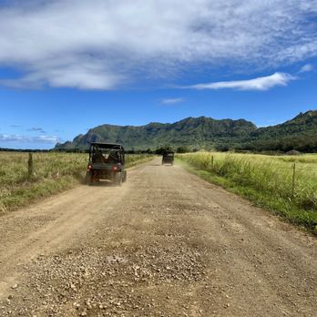 KIPU RANCH ADVENTURES - 1624 Photos & 1421 Reviews - 235 Kipu Rd, Lihue ...