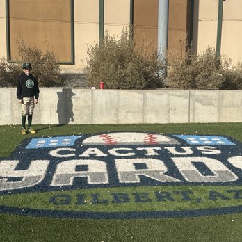 CACTUS YARDS - Updated August 2025 - 72 Photos & 76 Reviews - 4536 E ...