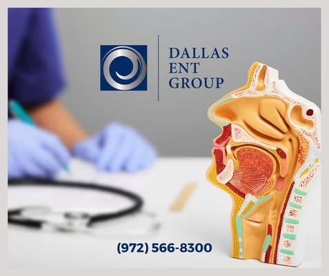 DALLAS ENT GROUP - Updated January 2026 - 46 Photos & 16 Reviews ...
