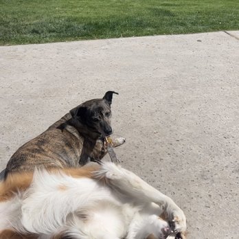 COFFEE RUSH - Updated May 2024 - 177 Photos & 470 Reviews - 1949 W Ray ...