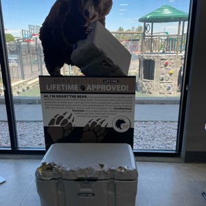 BEEBE FAMILY ARMS & MUNITIONS - CLOSED - 69 Photos & 51 Reviews - 1454 ...