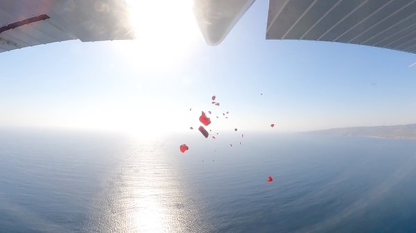 A JOURNEY WITH WINGS - ASH SCATTERING BY AIRPLANE - Updated March 2025 ...