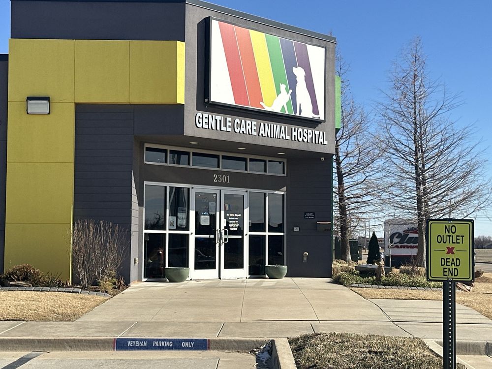 GENTLE CARE ANIMAL HOSPITAL - Updated September 2025 - 163 Photos & 341 ...