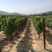 SHAFER VINEYARDS - 170 Photos & 45 Reviews - Wineries - 6154 Silverado ...