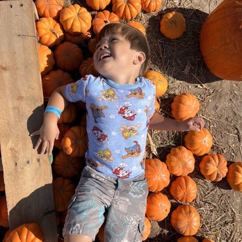 SWEET EATS ADVENTURE FARM - Updated April 2025 - 449 Photos & 139 ...