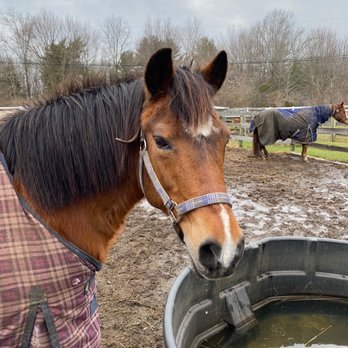 VICTORY STABLES - Updated October 2025 - 78 Photos & 12 Reviews - 121 ...