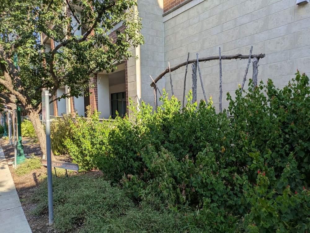 GEORGETOWN PUBLIC LIBRARY - Updated December 2025 - 78 Photos & 29 ...