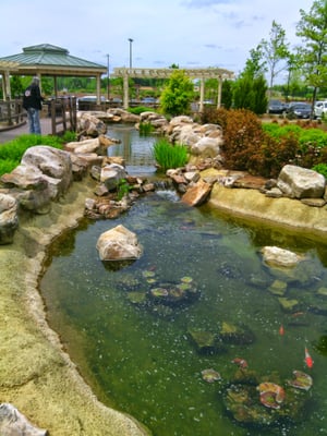 CANCER TREATMENT CENTERS OF AMERICA, ATLANTA - CTCA - Updated December ...