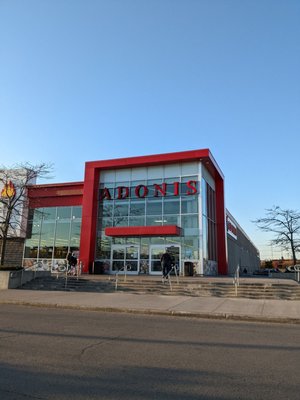 ADONIS - Updated October 2025 - 234 Photos & 93 Reviews - 20 Ashtonbee ...