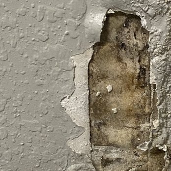 MAA BENTON - Updated October 2025 - 41 Photos & 14 Reviews - 1475 ...