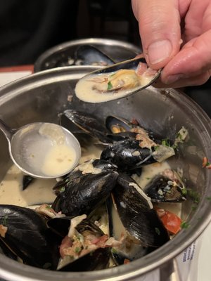 BRASSERIE SAINT GERMAIN - 19 Photos & 28 Reviews - 470 Main St ...